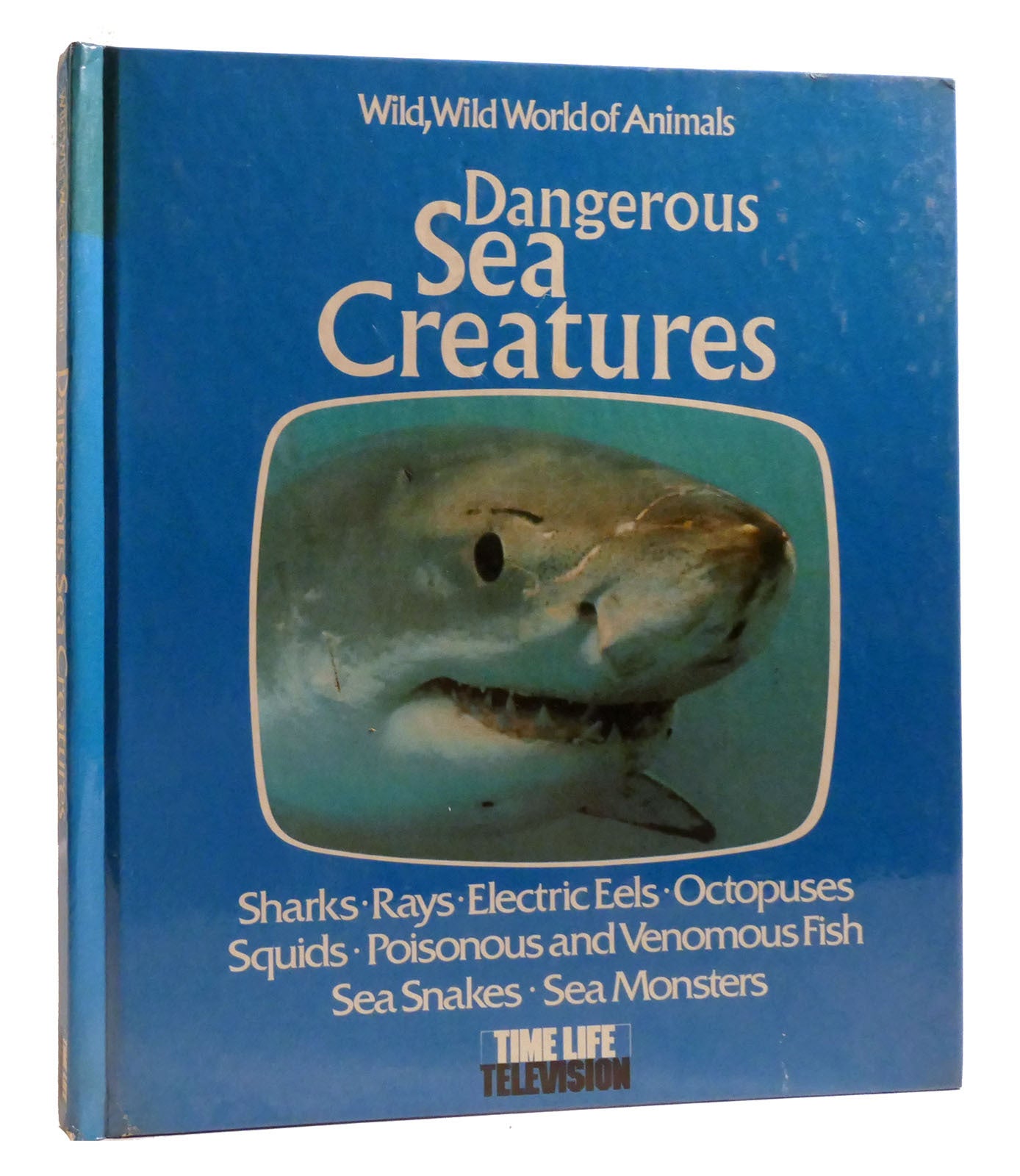DANGEROUS SEA CREATURES Wild, Wild World of Animals | Thomas A. Dozier ...