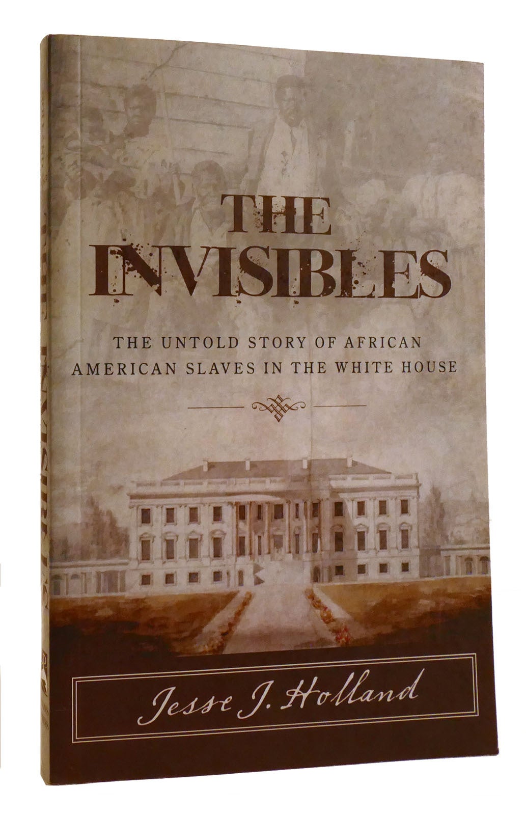 THE INVISIBLES; The Untold Story of African American Slaves in the ...