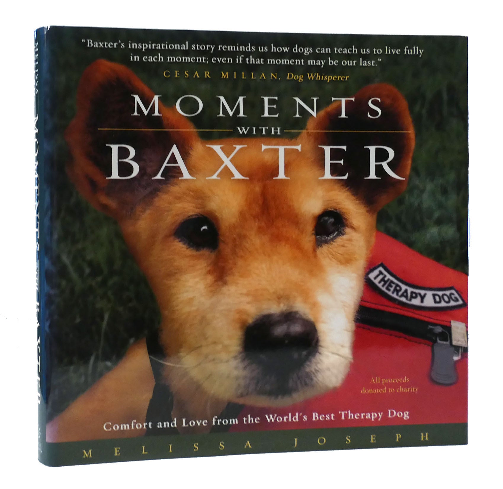 MOMENTS WITH BAXTER: COMFORT AND LOVE FROM THE WORLD'S BEST THERAPY DOG ...